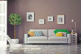 Confused.com - See things clearly with Confused.com Rewards